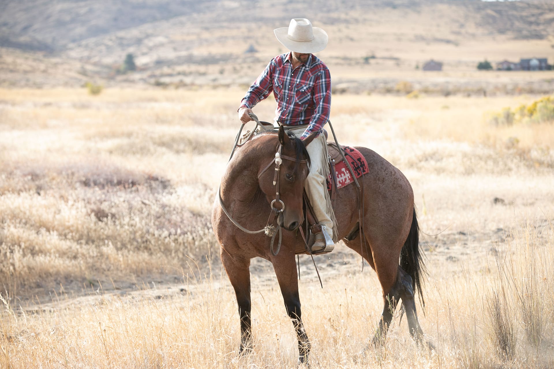 Joel Conner Horsemanship - Joel Conner Horsemanship